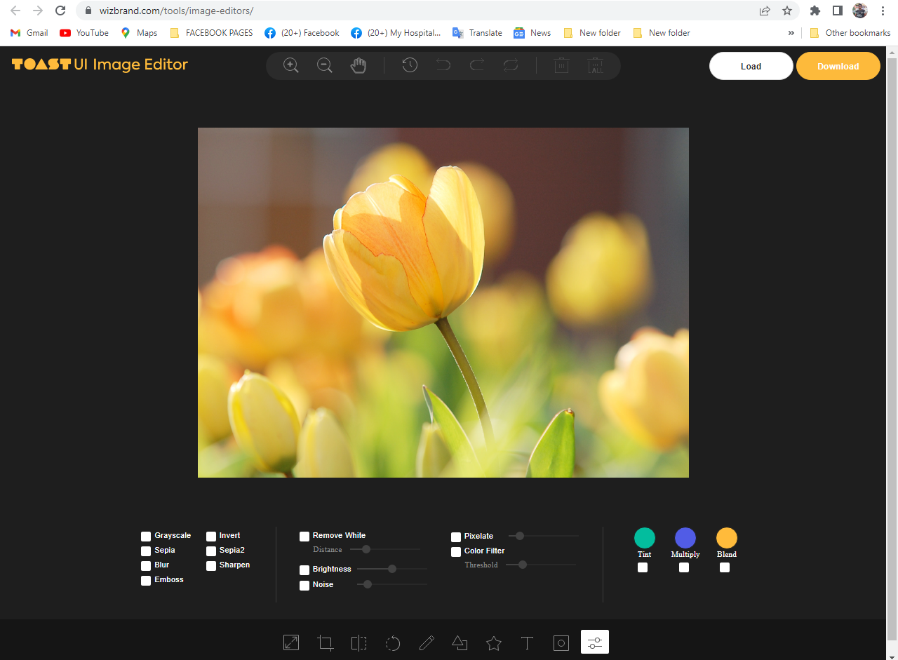 Image Editor Online Tool -WizBrand - Wizbrand