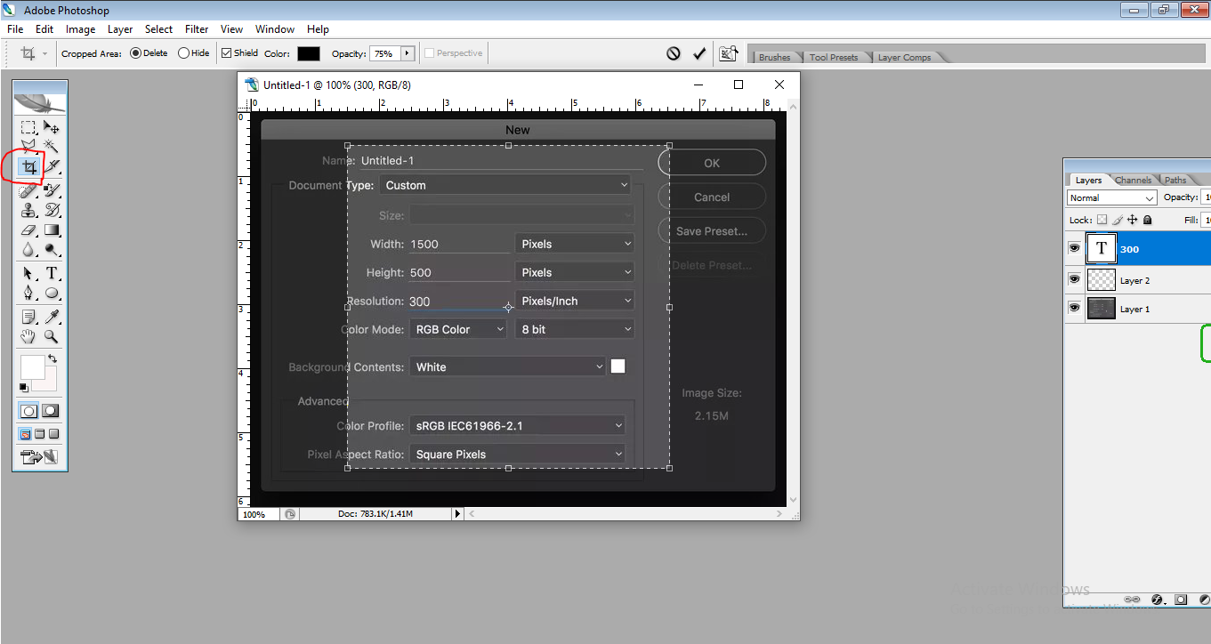 How to crop images in Photoshop? - Wizbrand