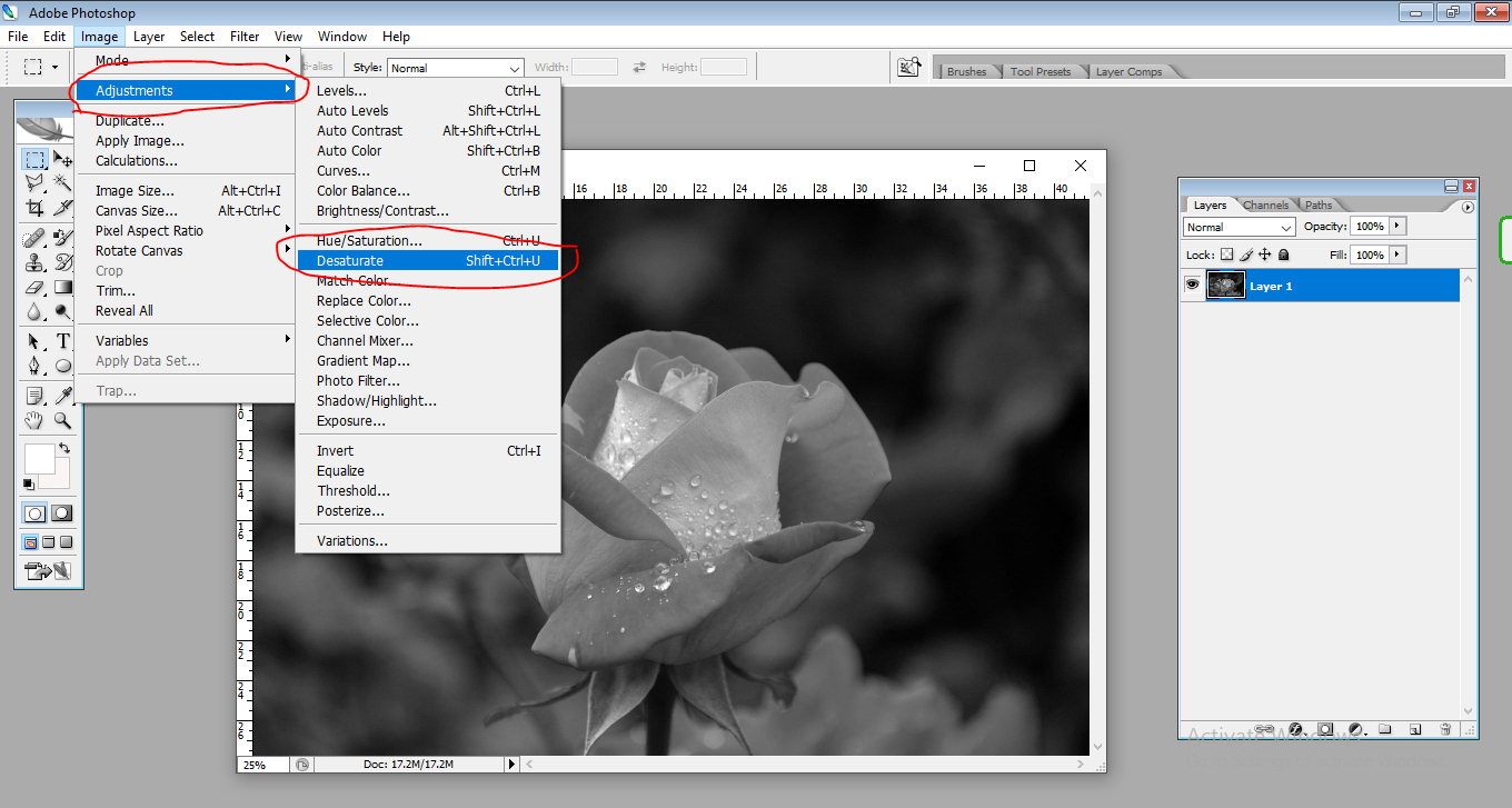 How to convert a color image to black and white in Photoshop? – Wizbrand