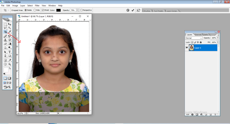How to make passport size photo in photoshop? - Wizbrand