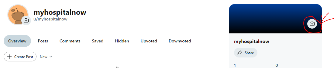 How to Configure Reddit Profile for Maximum Users' Reach: A Step-by-Step Guide - Wizbrand
