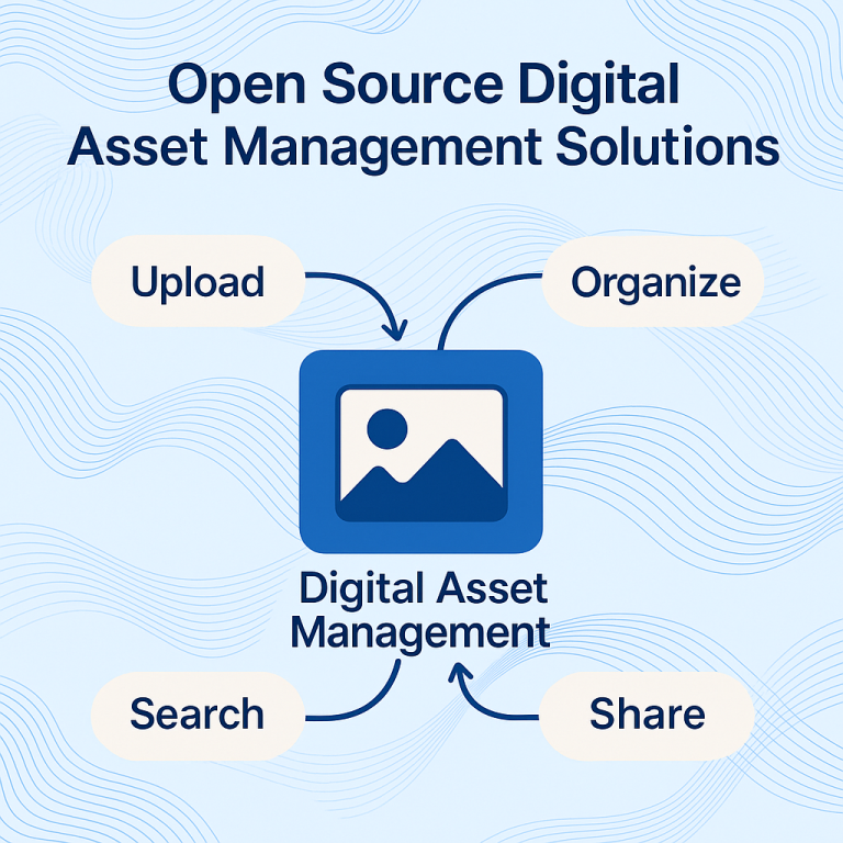 Case Study: Scaling Content Operations with Wizbrand’s DAM Software - Wizbrand